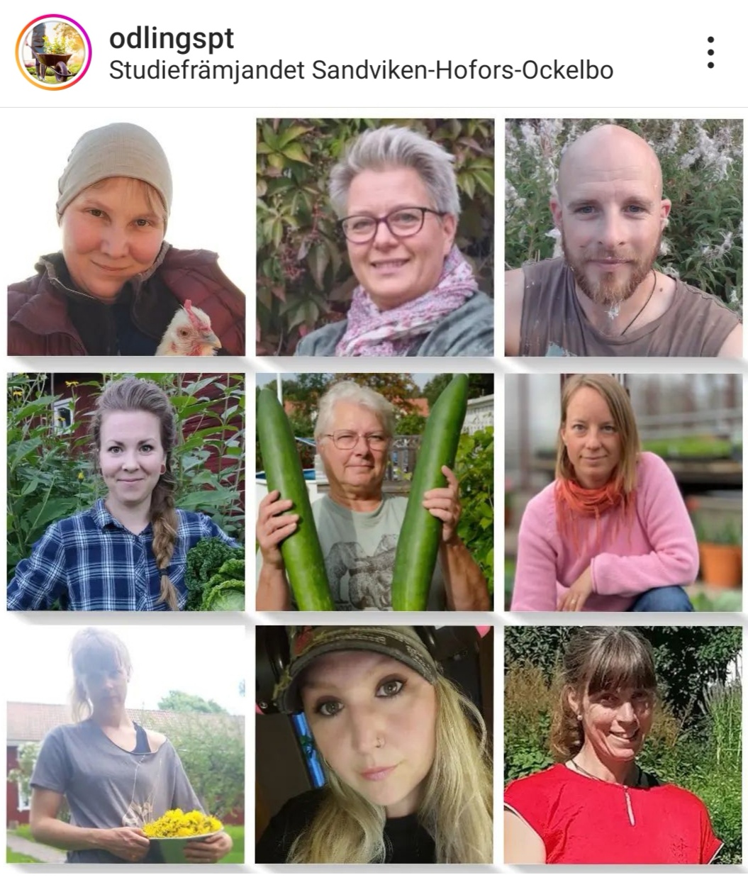Leader Gästrikebygden Lokalt ledd utveckling - Odlings PT